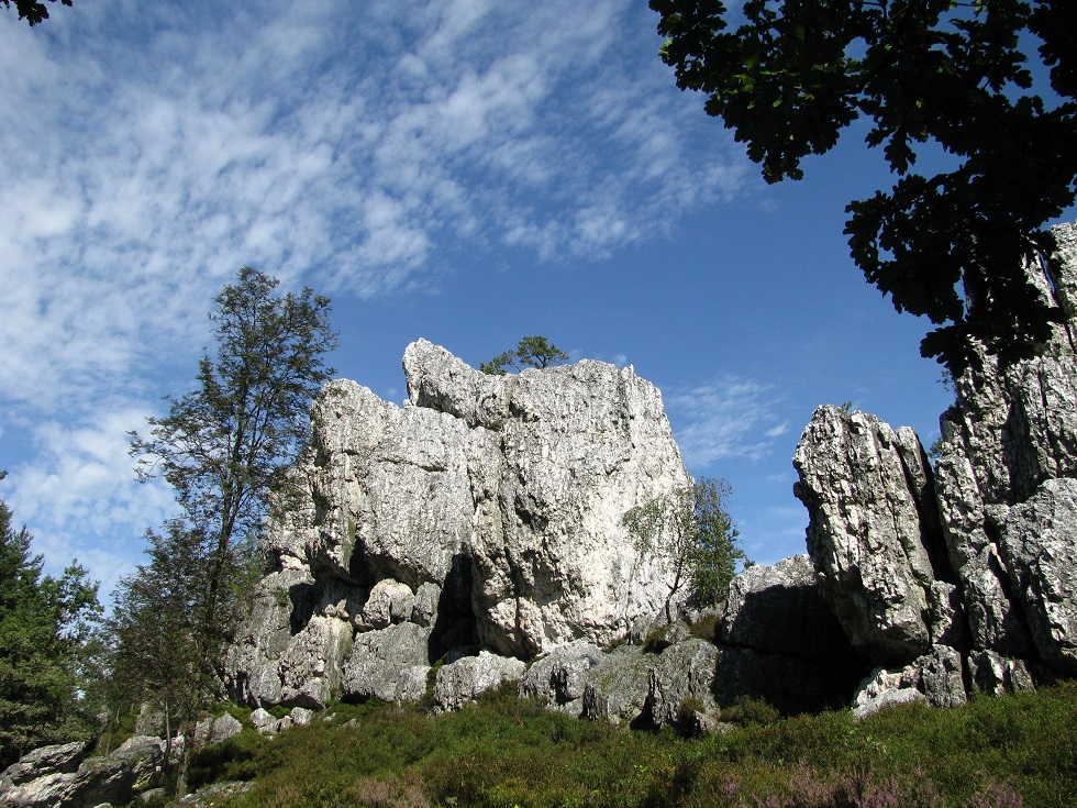 Bayerwald-Meisterwerke - Der Naturpark Bayerischer Wald