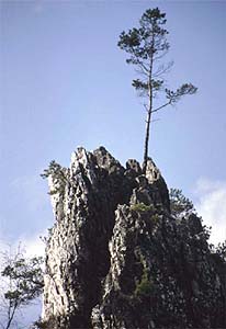 Pfahl - Der Naturpark Bayerischer Wald
